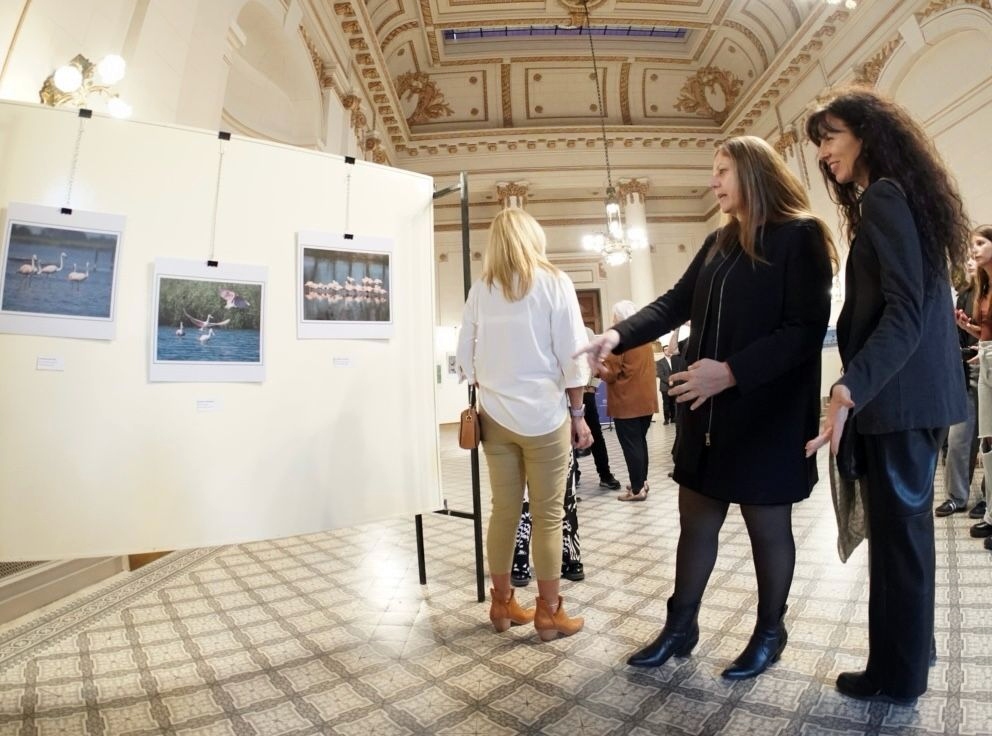 Galnares: “La riqueza natural de la Laguna El Hinojo merece ser ...