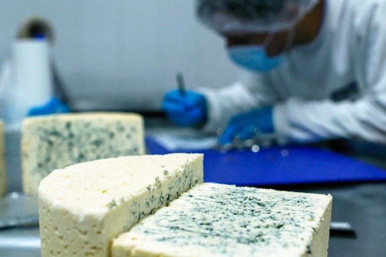 Santa Fe Ya Tiene La Ruta Del Queso Azul Un Producto De Exportación